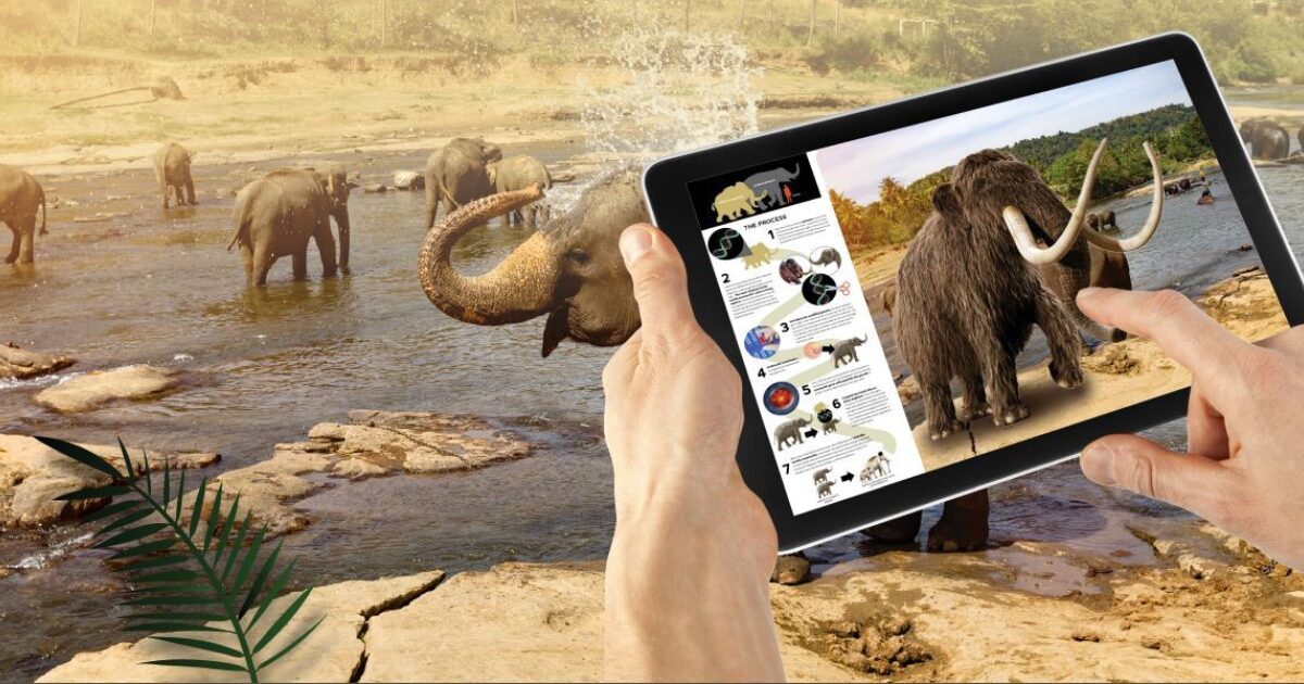 Lagotronics Projects | Interactive Zoo Experiences
