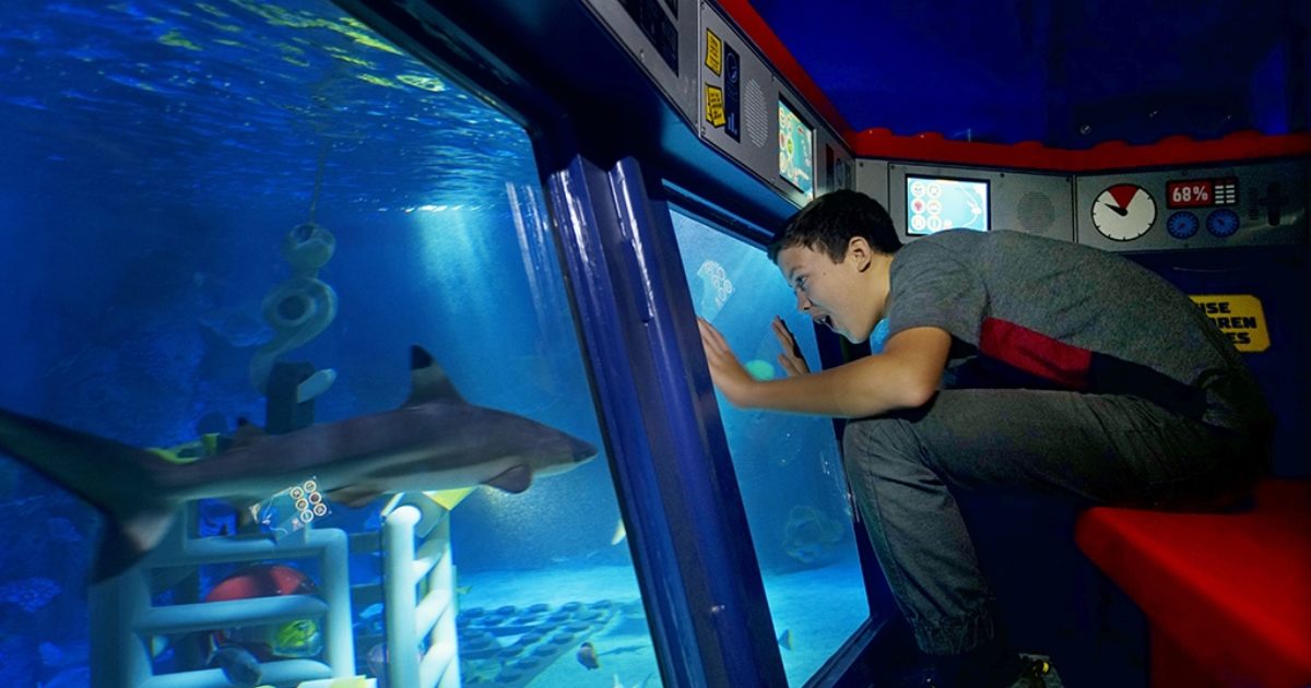 Lagotronics Projects | Submarine Ride